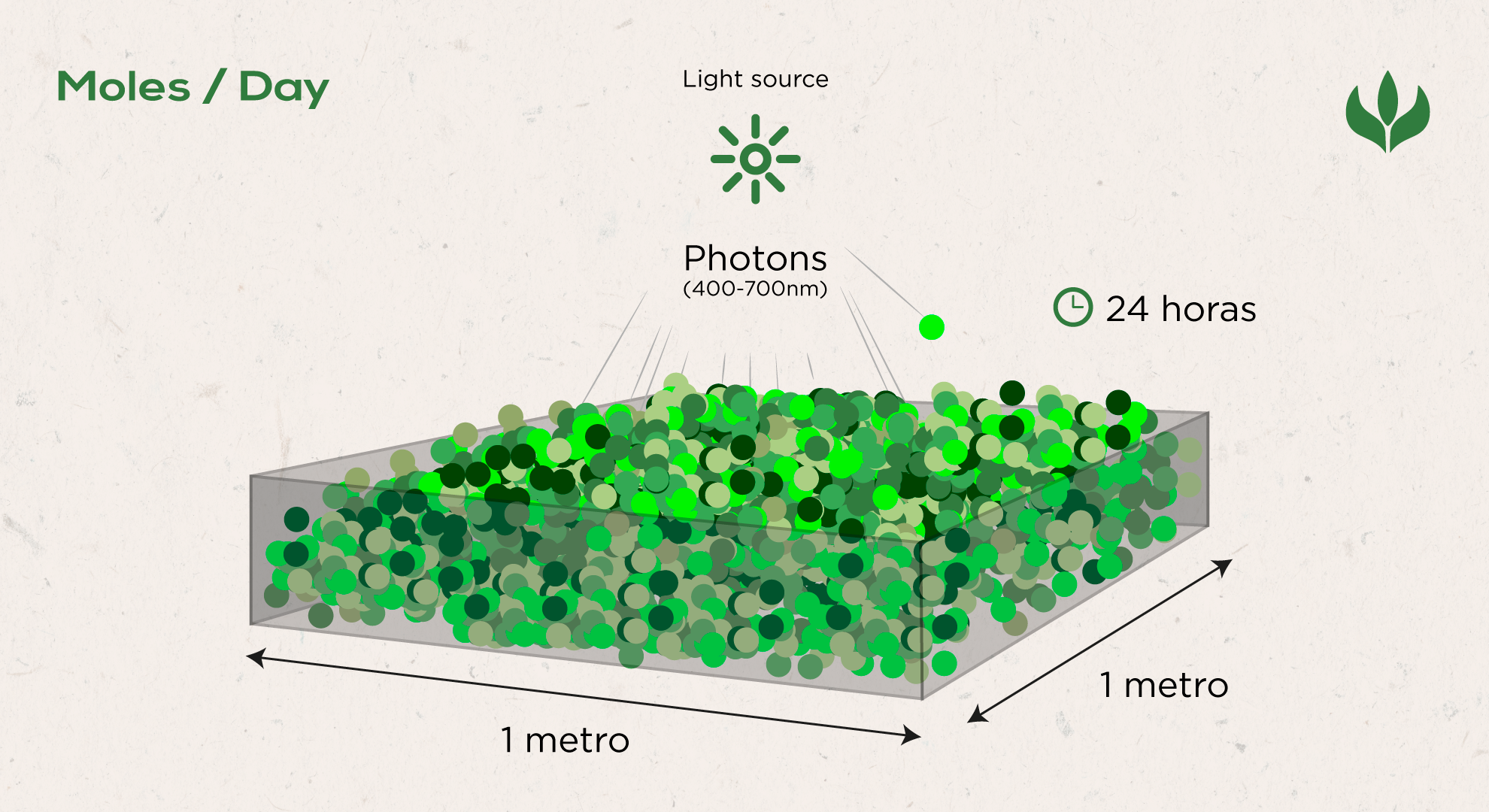 O que é DLI e PPFD? Qual a sua relação e importância em cultivos ...