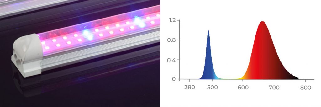 Linha HORTILED - Iluminação para Horticultura
